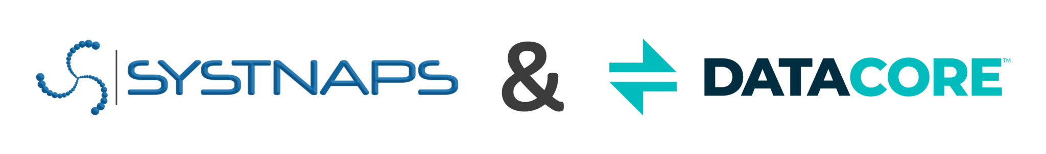 Webinar : Systnaps & Datacore - Systnaps